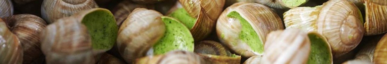 Vente d'escargots frais, en conserve et surgelés | Bourgogne Escargots